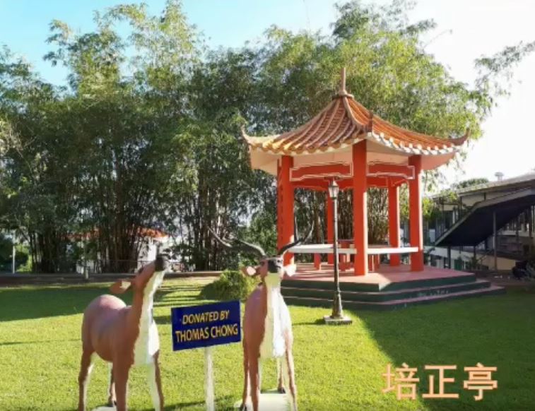 古达培正中学（Pei Tsin High School） - 30网校